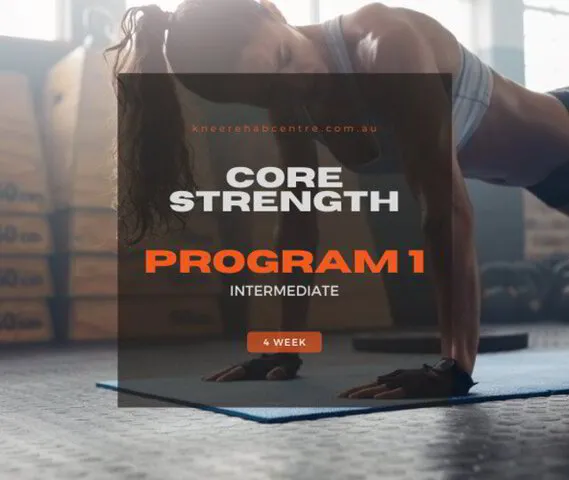 Rehab programs online | Free and paid programs
