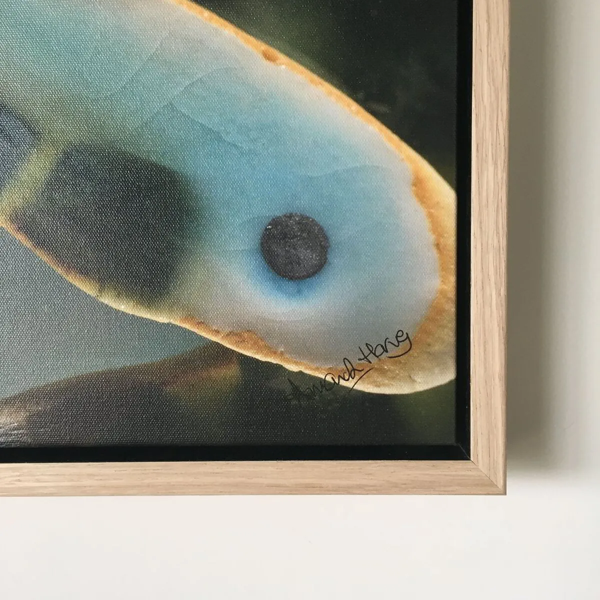 Amanda Harvey Art - My Work
