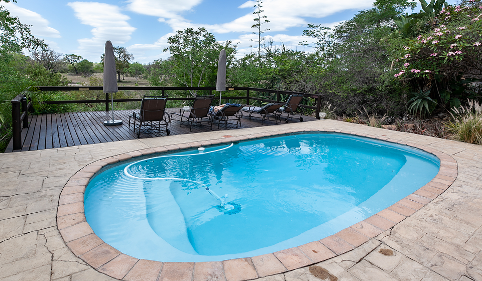 Pool Renovation in Ballarat for a Modern Backyard