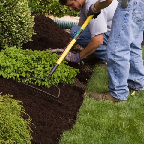 Mulch King LLC | Landscaping & Mulch Services Richmond VA