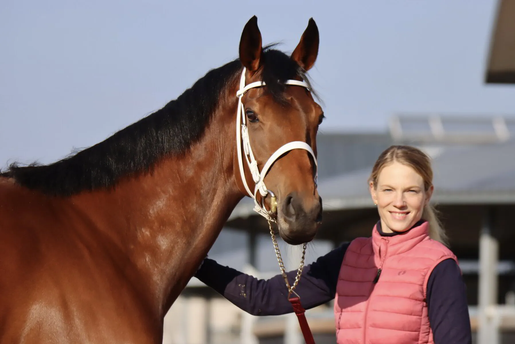 Galoppstall Annika Sjökvist - Andelshästar i toppklass