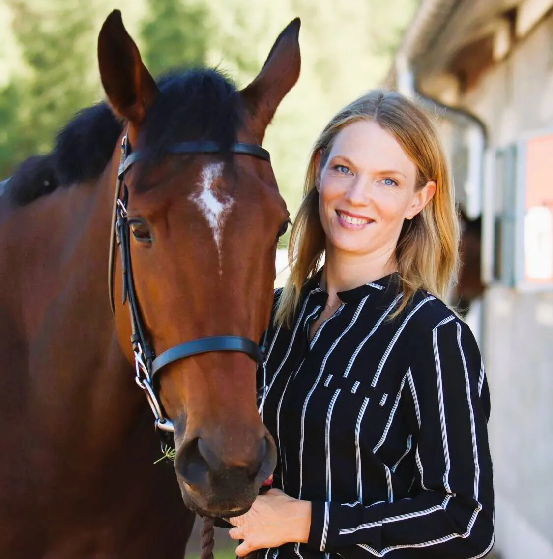 Galoppstall Annika Sjökvist - Andelshästar i toppklass