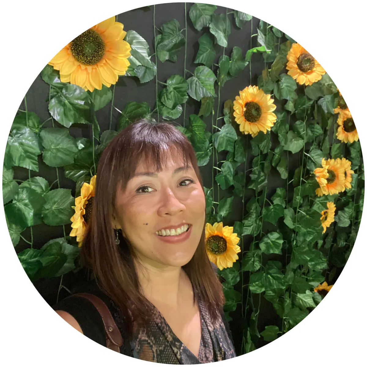 Free Canva Templates