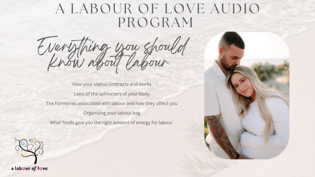Everything you should know about labour audio