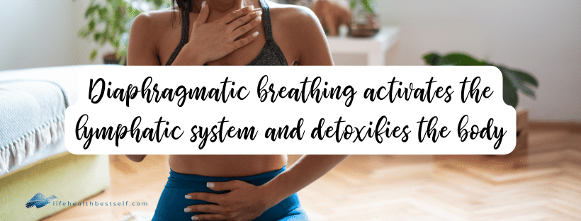 Supporting the Lymphatic System