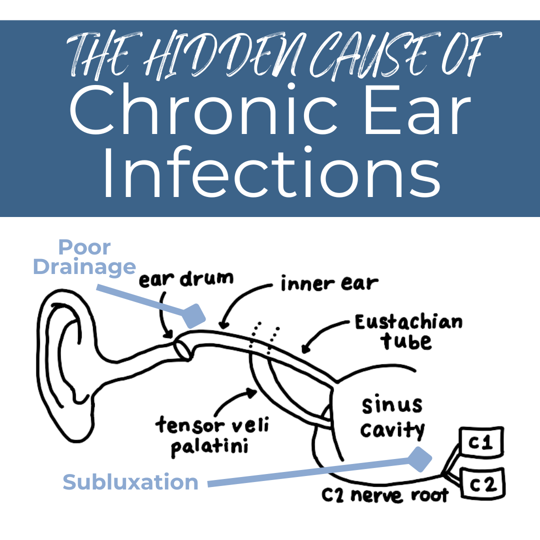 chronic ear infections in kids, chiropractic care for ear infections ...