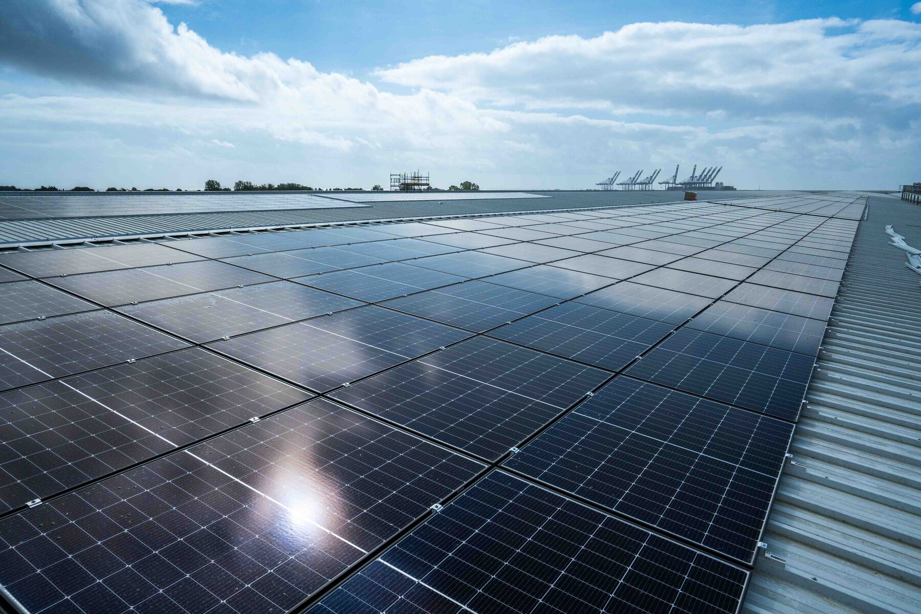 Shaping the Future: Eden Sustainable Directors to Speak at Solar ...