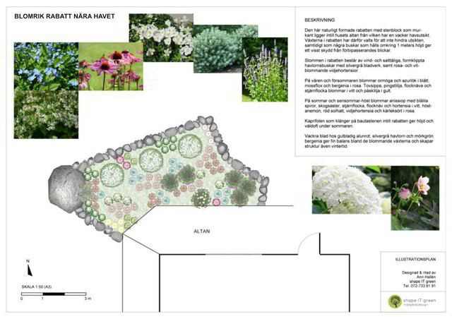 Design på Distans: skräddarsydda växtförslag till dina rabatter