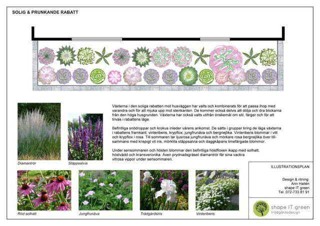 Design på Distans: skräddarsydda växtförslag till dina rabatter