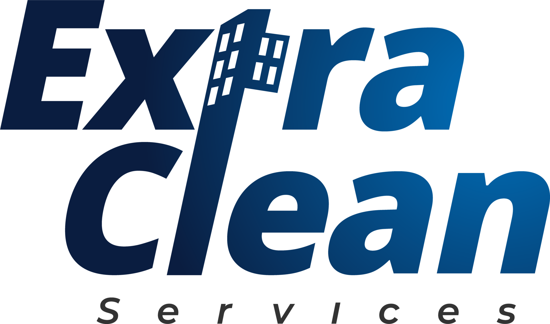 Home [extracleansvs.com]
