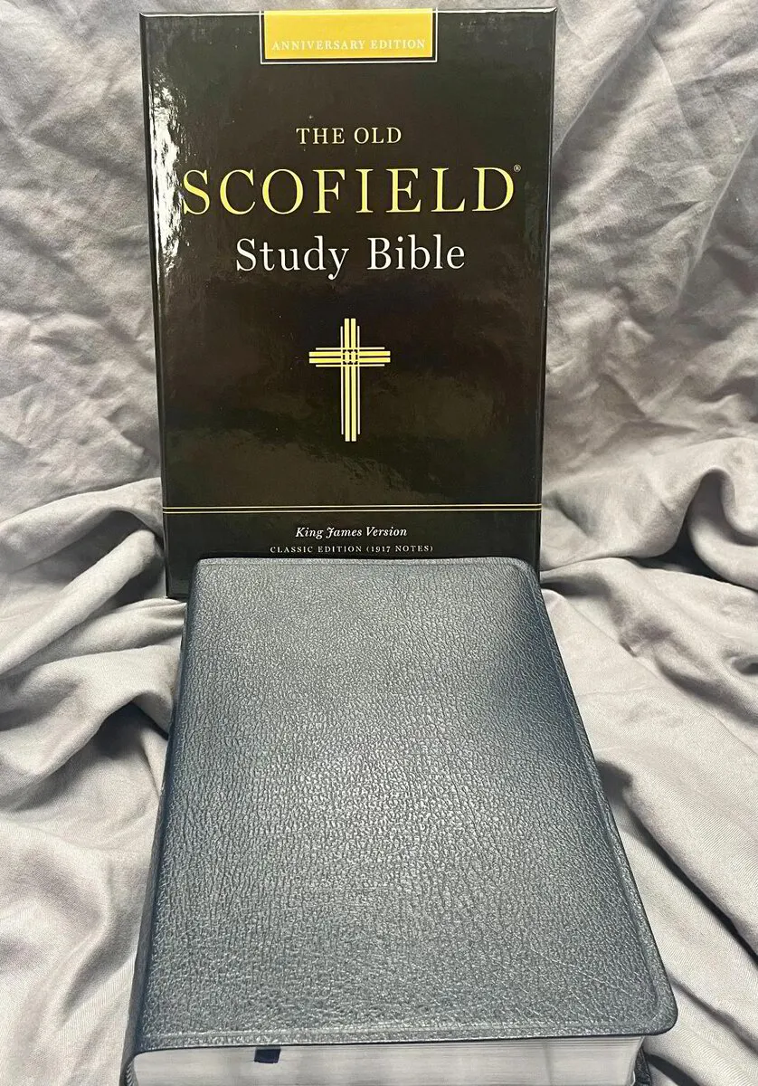 Bonded Leather Scofield - Blue