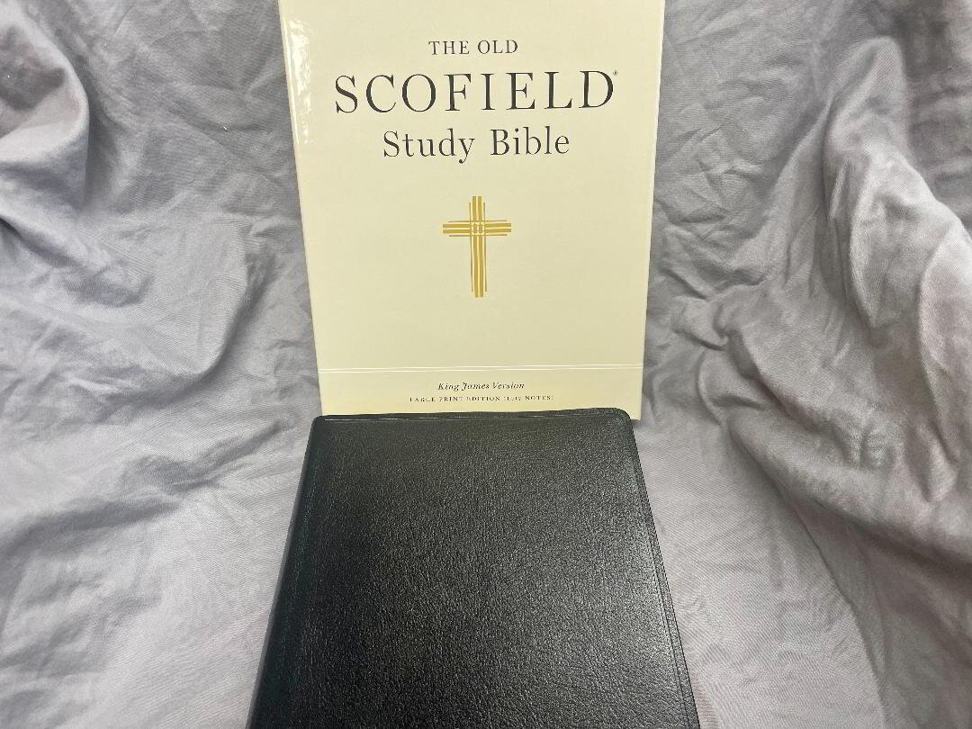 Large Print Scofield Study Bible - Black