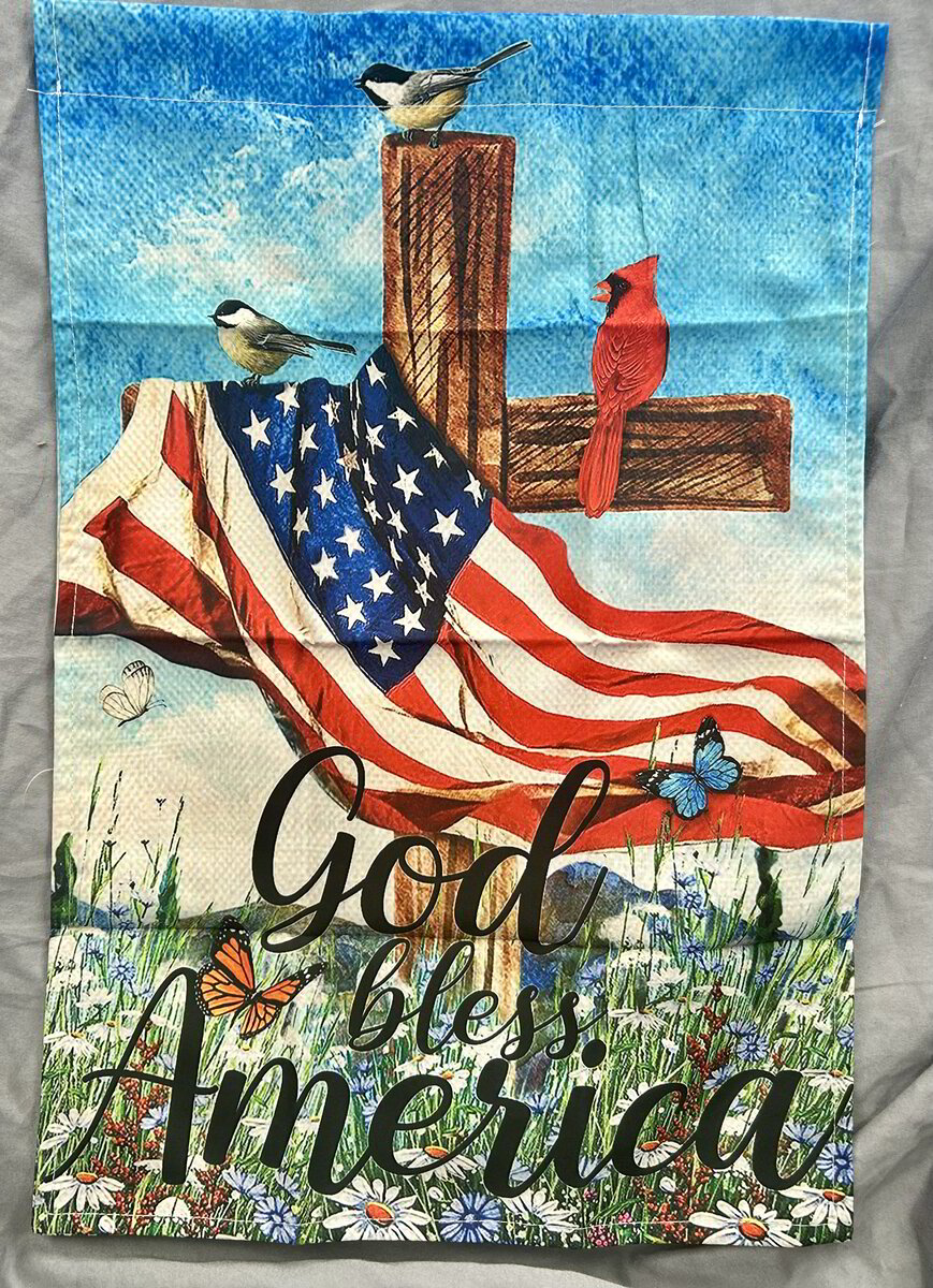 God Bless America with Birds - Indoor/Outdoor Flag