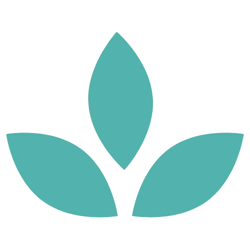 Dr Essentials | Dr Essentials Aromatherapy Oils