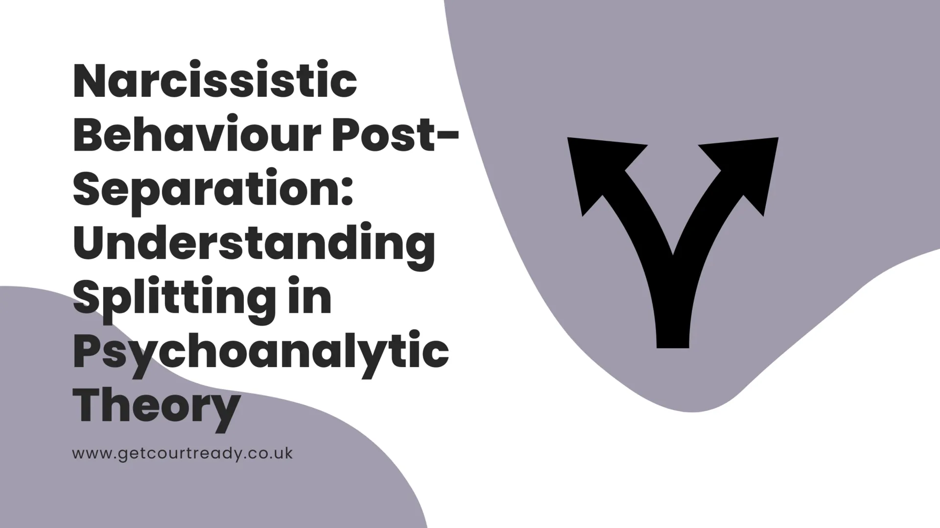 Narcissistic Behaviour Post-Separation: Understanding Splitting in ...