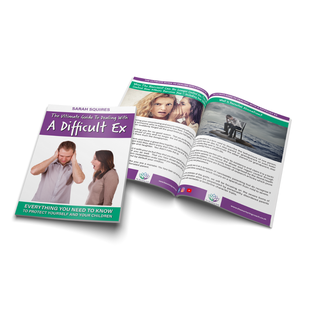 Free ebook The Ultimate Guide to dealing with a difficult ex