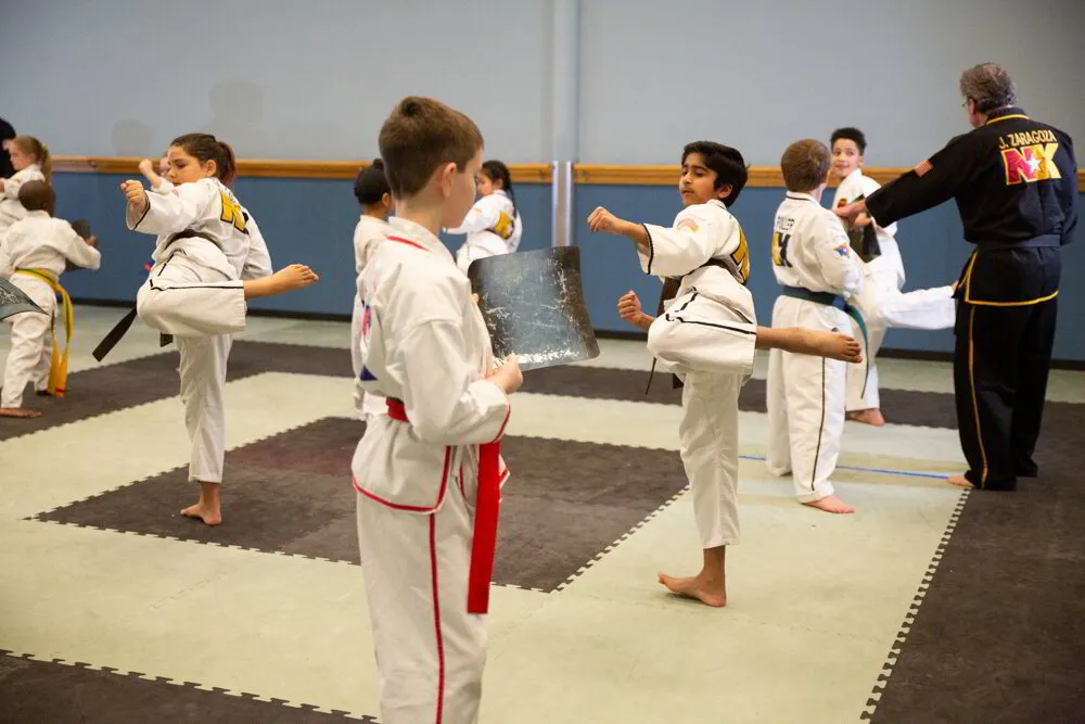 Youth | South Colorado Springs National Karate