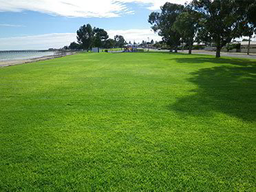 Greene Eden - Irrigation and Turf Management Services