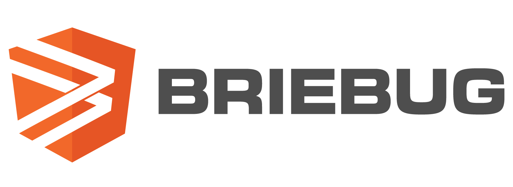 Briebug Blog - Expert Best Practice Development Guidance