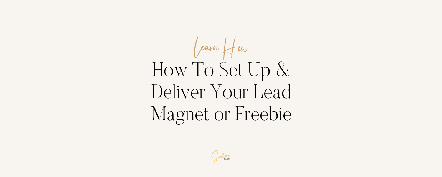 How To Set Up & Deliver Your Lead Magnet or Freebie