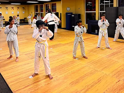 King Tiger Taekwondo of Harrisburg | Harrisburg Martial Arts & Fitness