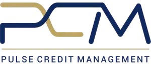 Pulse Credit Management | Risk Solutions