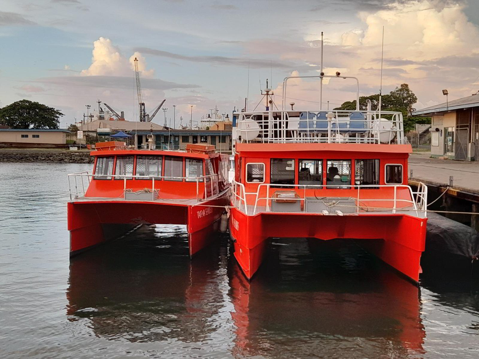 Tavewa Seabus Fiji: Your Gateway to the Yasawa Islands | Daily Departures