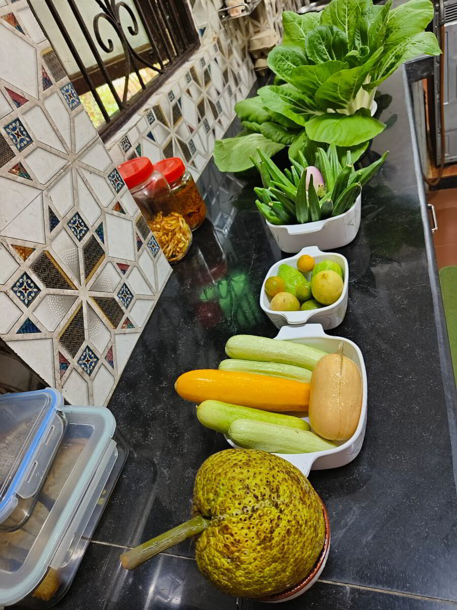 Mangaal village offers cooking classes!