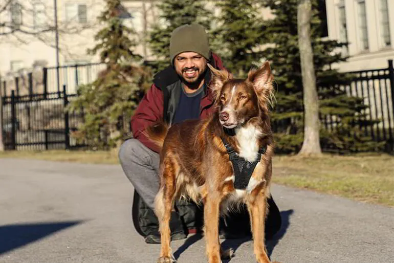 This World Animal Welfare Day, these animal rescue stories will melt ...