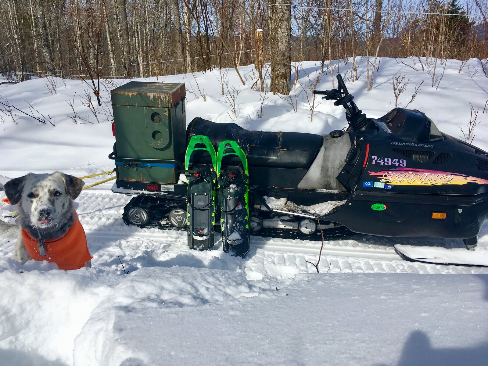 Welcome to Our New Website!