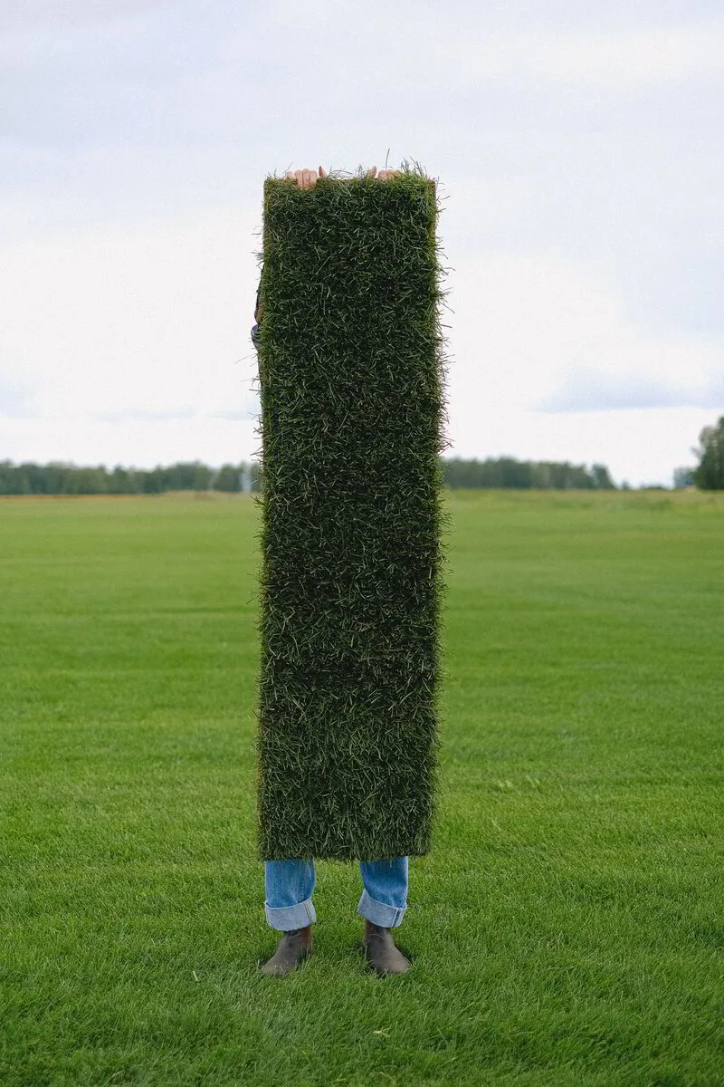 Sod Install Services | San Jose, California & the surrounding areas