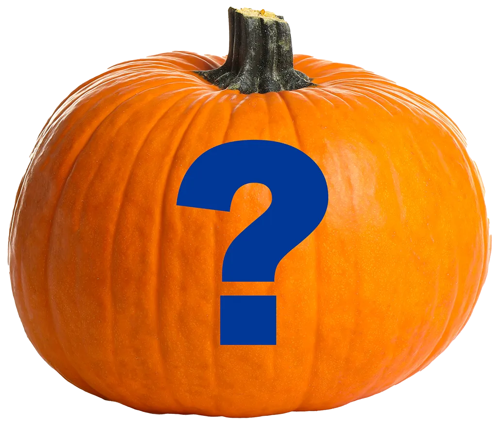 Blue Tide Pumpkin Guessing Contest | Win Free Car Wash Memberships