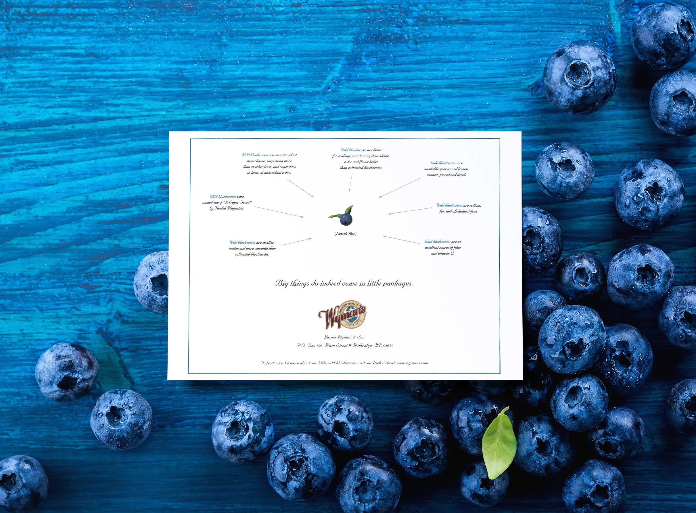 Wyman's Free-Standing Insert