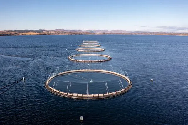 SmartOcean UK: Innovative Marine Solutions