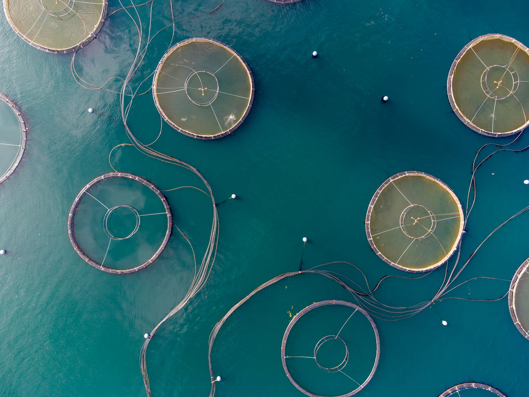 SmartOcean UK: Innovative Marine Solutions