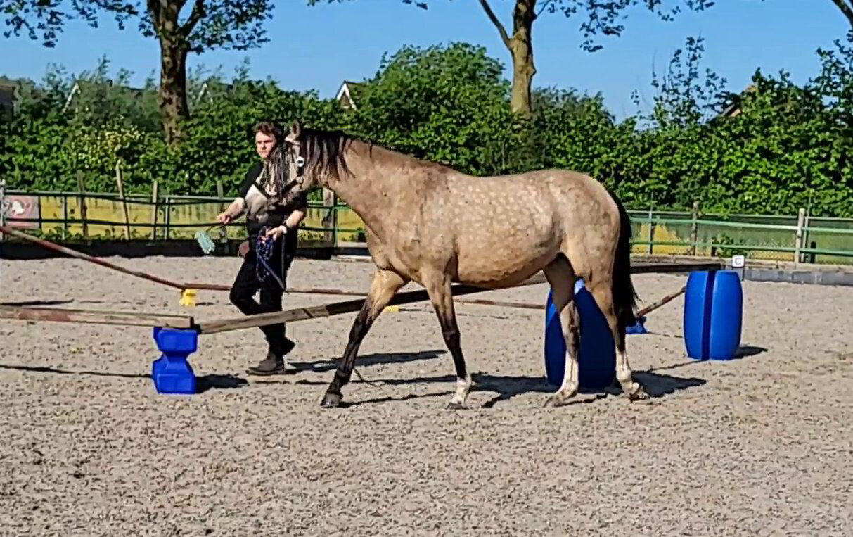 Werken met patronen
