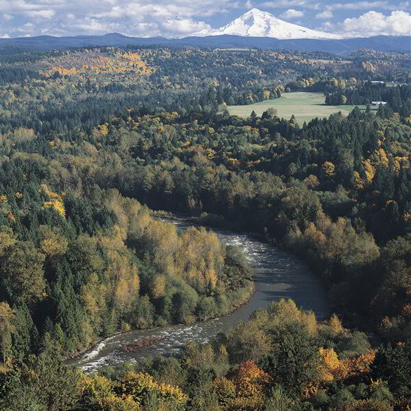 Coastal Steelhead Charters