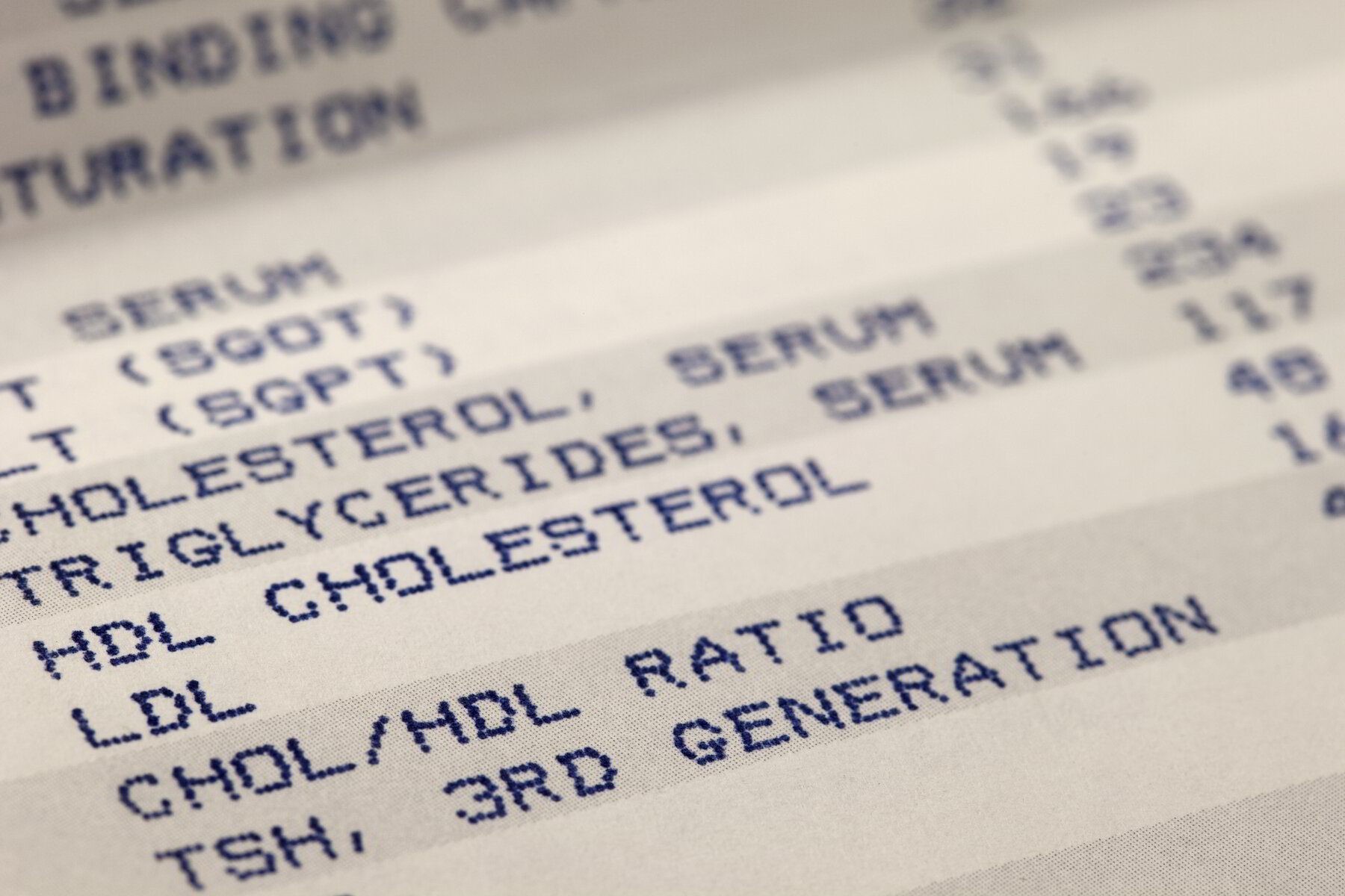 Five Cholesterol Myths