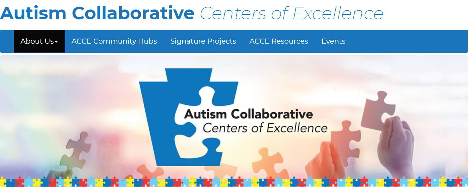 Autism Collaborative Centers of Excellence