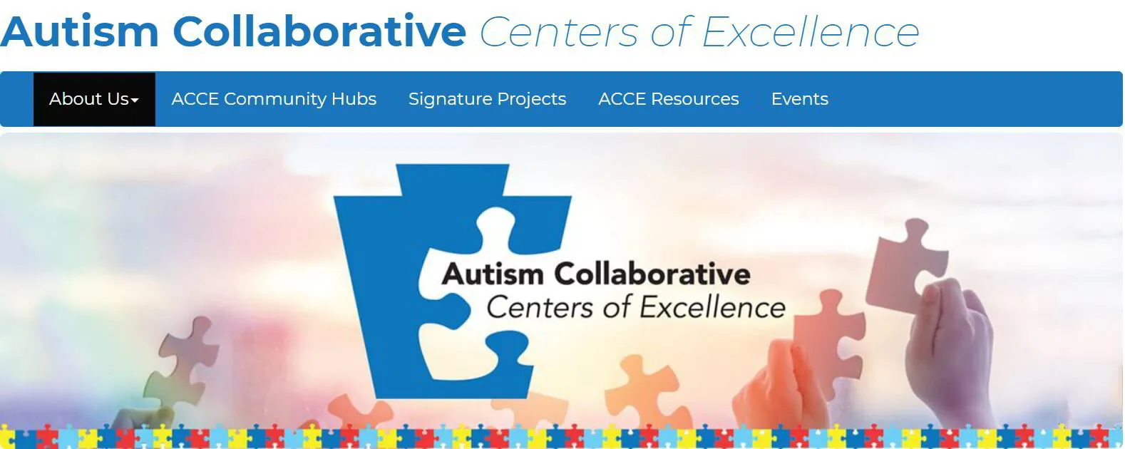 Autism Collaborative Centers of Excellence