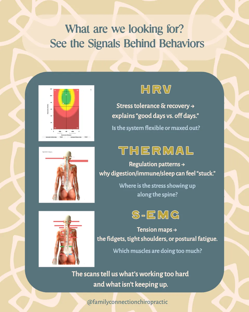 INSiGHT Scans for Nervous System Health | Family Connection ...