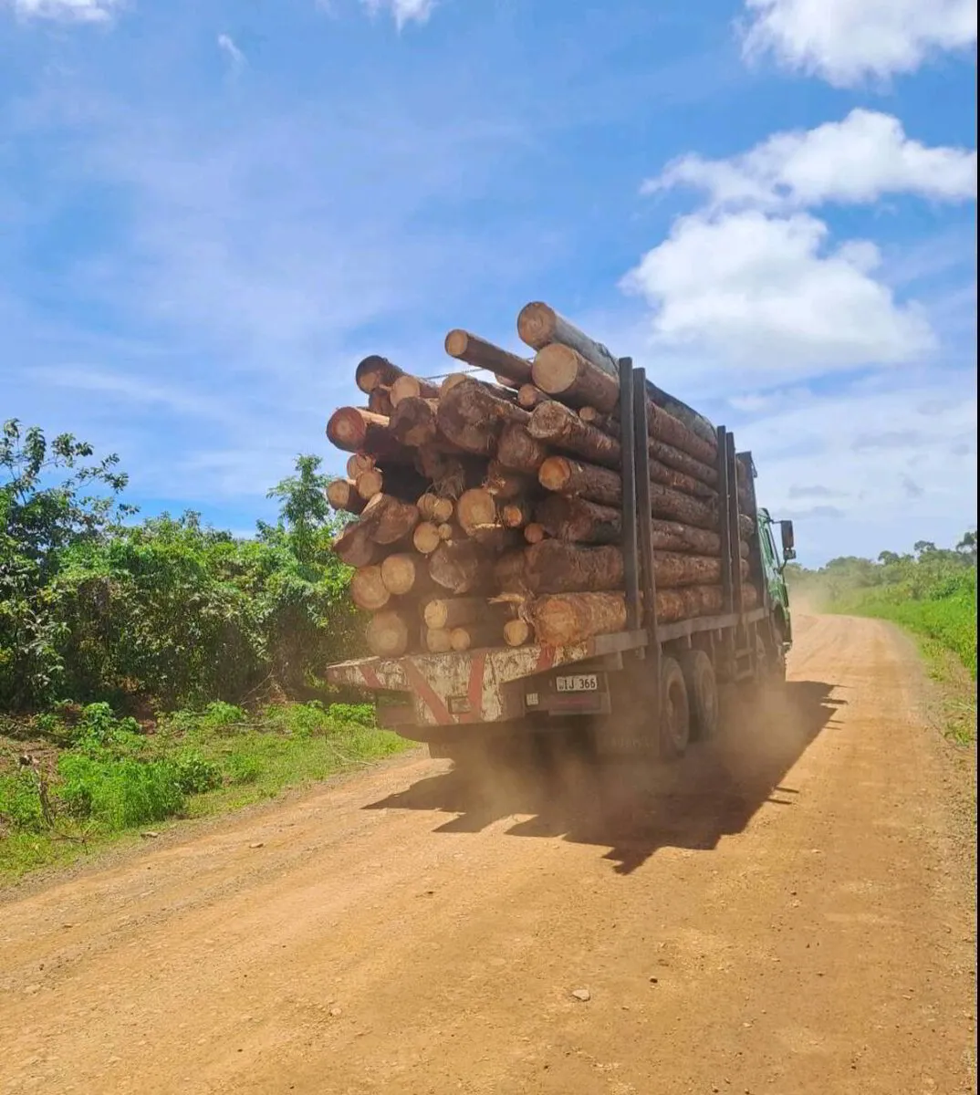 The Role of Weather Expertise in Efficient Logging Operations at Fiji Pine
