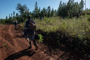 Environmental Protection & Research | Fiji Pine Limited