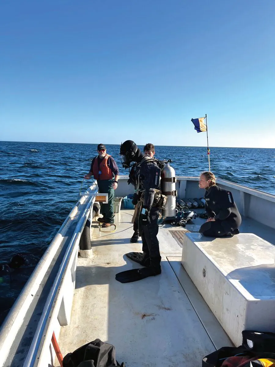 Unrestricted Surface Supplied Diver Certification