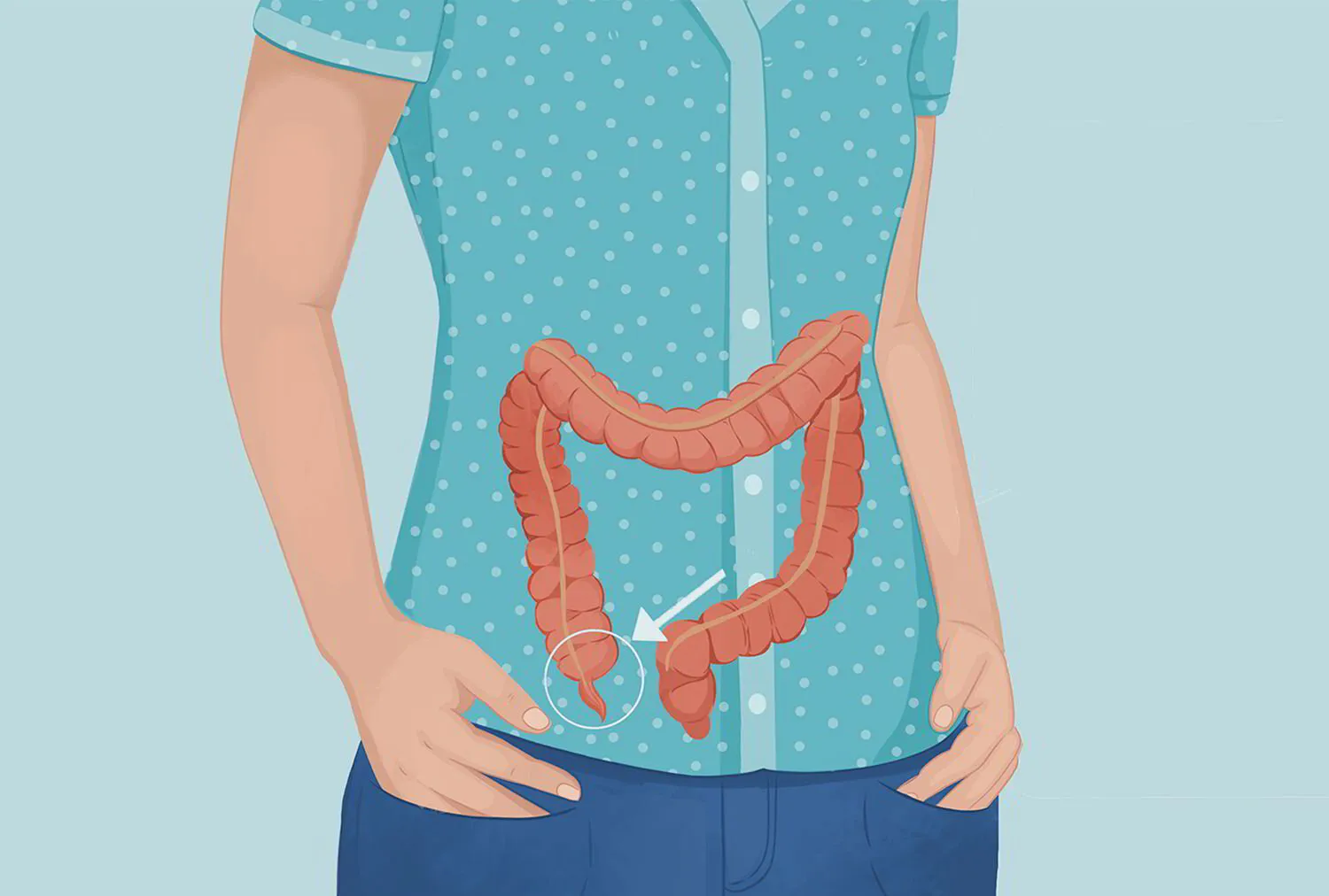 What Is Your Appendix and Why Do You Have One? Latest Research Reveals ...