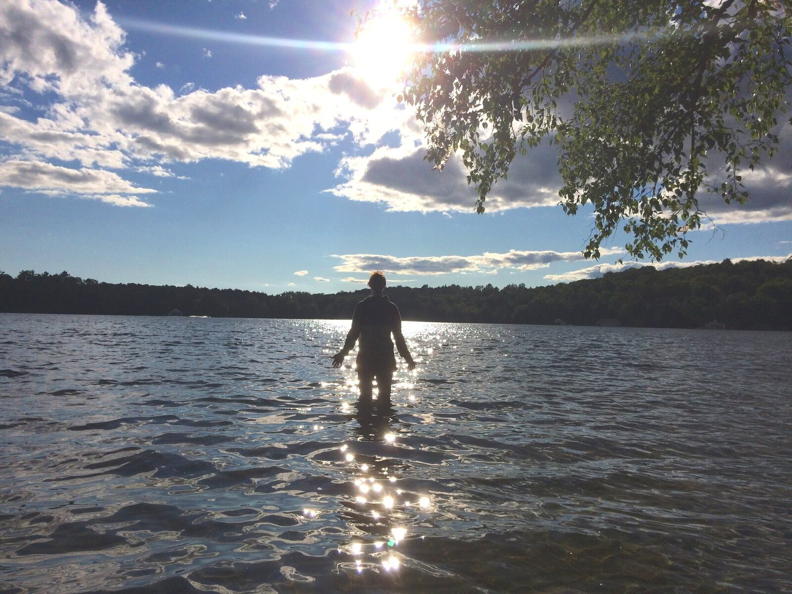 Cancer Survivorship - Naturopath Barrie Ontario Dr Martha Sharpe ND