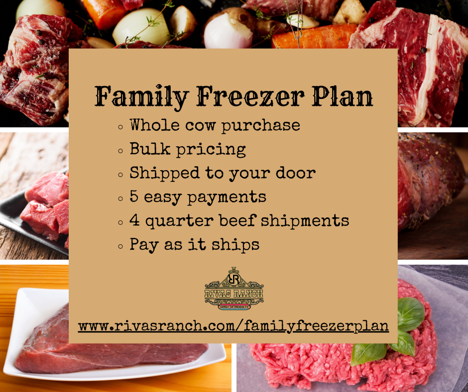 Four Payment Plan with Whole Beef Purchase