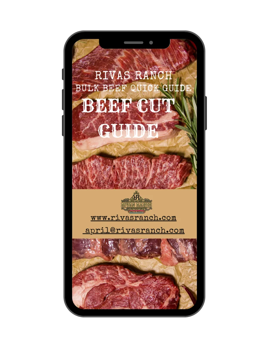 Beef Guide