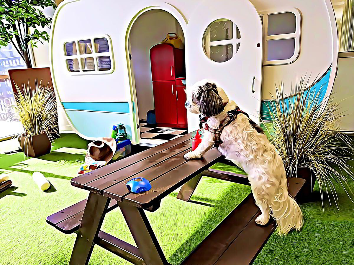 Personalize Your New Home with Pet-Friendly Features