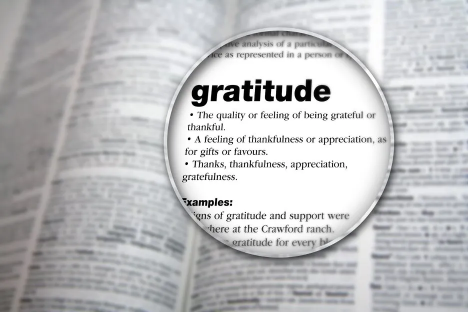 The Ultimate Refuge: Cultivating Gratitude in the Luxury of Home